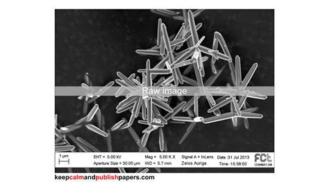 Keep Calm And Publish Papers How To Make False Colored Monochrome Sem