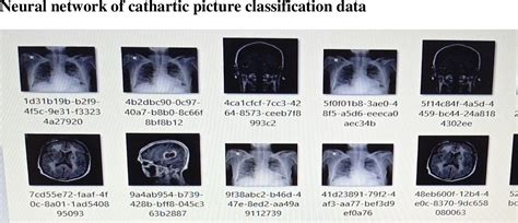 Figure 1 From Deep Convolution Neural Network For Bigdata Cathartic