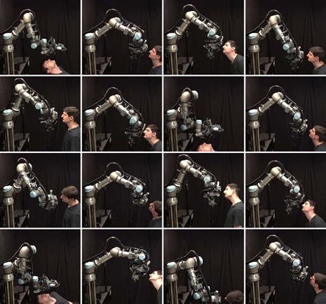 Figure 4 From Robotic Optical Coherence Tomography Of Human Subjects With Posture Invariant Head