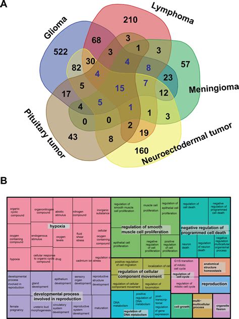 Overlapping And Functional Enrichment For Genes Associated With Download Scientific Diagram
