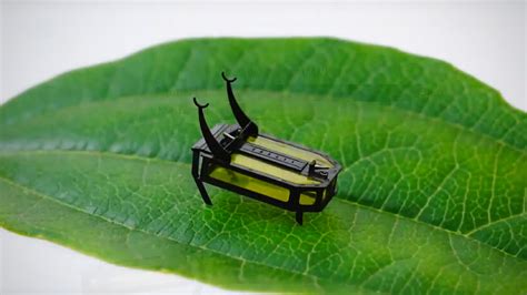 Researchers Developed Insect Scale Robot That Moves Without Battery And