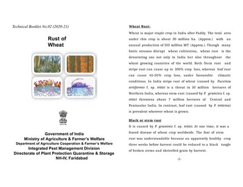 Wheat Rust Effect Of Rust On Wheat Englishpptx Wheat Rust Effect Of Rust On Wheat Englishpptx