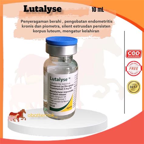 Jual Lutalyse Injeksi 10ml Shopee Indonesia