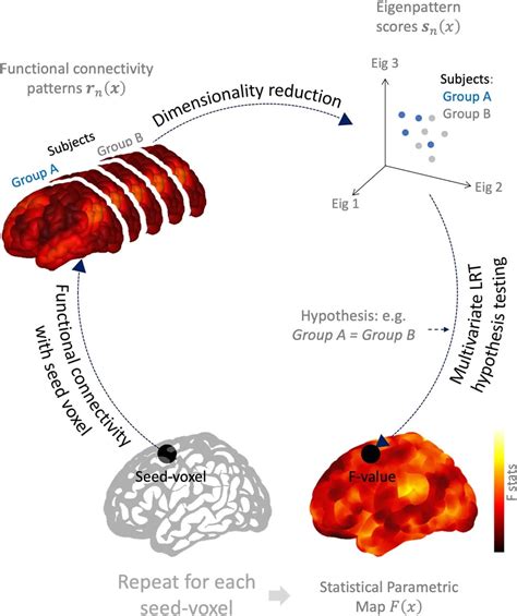 Functional Connectivity Multivariate Pattern Analysis A Novel Method For The Analysis Of Human