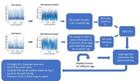 Pipeline For The Estimation Of The Granger Causality And Response Time Download Scientific