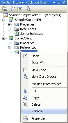 The C Net Simple Client And Server Socket Winsock Windows Socket Project And Program Examples