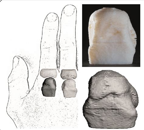 Three Dimensional 3d Model Prototype Of The Second Download Scientific Diagram