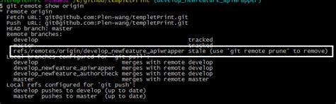 聊下 Git Remote Prune Origin 王清培 博客园