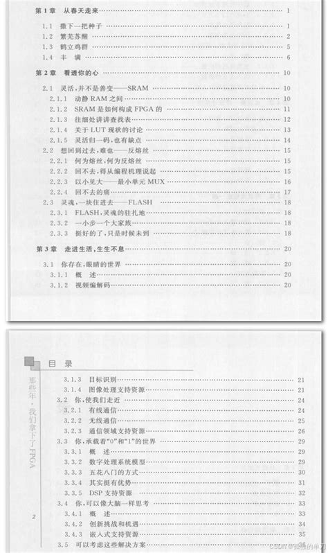 【数字ic fpga】书籍推荐（2） 《那些年，我们拿下了fpga》 fpga asic核心技能书籍 csdn博客