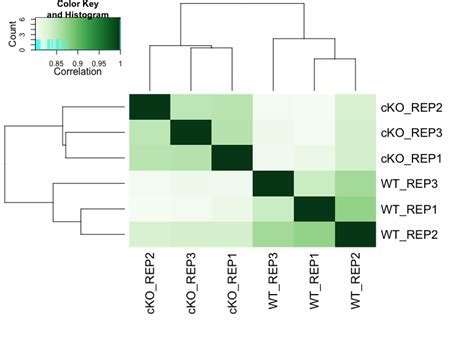 Differential Binding Analysis Peak Analysis