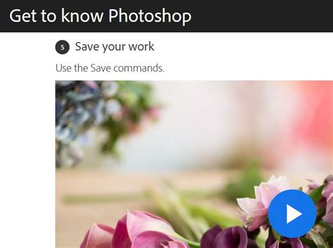 Photoshop Basics Welcome