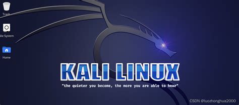 Kali整体版本更新方法，为啥更新？kali更新系统 Csdn博客
