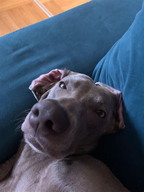 Ive Woken Her Up Now Shes Mad R Eyebleach