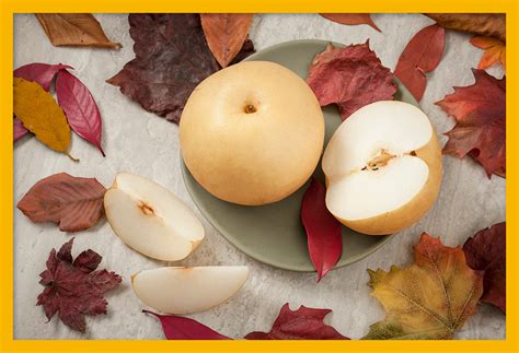 가을 제철 과일 배의 효능 식품영양정보