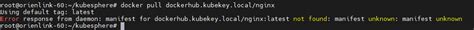 在docker中遇到x509 certificate relies on legacy common name field use