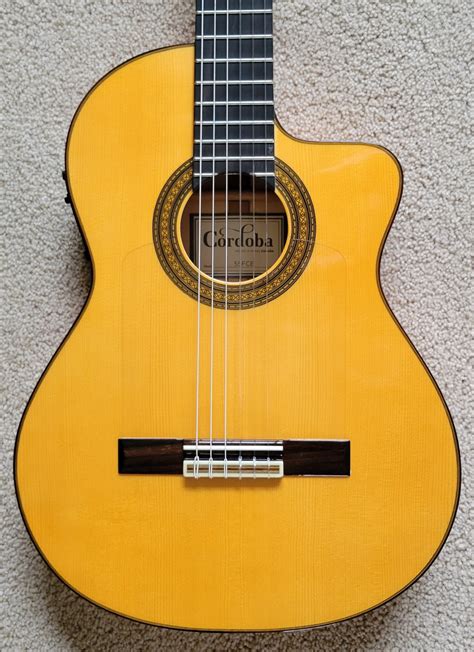 Cordoba 55fce Thinbody Classical Acoustic Electric Guitar Honey Amber
