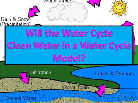 Ppt Will The Water Cycle Clean Water In A Water Cycle Model