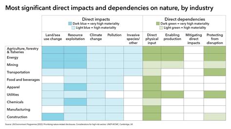 Nature Related Dependencies Impacts Risks And Opportunities Icaew