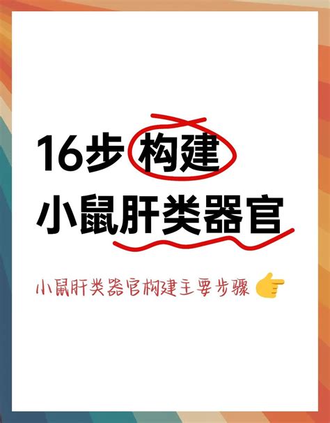 16步构建小鼠肝类器官全攻略