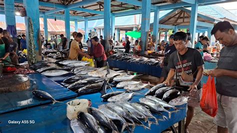 Live Sabtu Pagi Aktifitas Pasar Ikan Dan Skills Potong Ikan Di Pasar