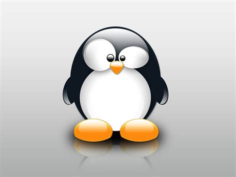 Linux Installation Guide Tutorial Moddb