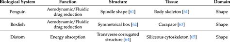 Biological Systems Categorised Into Shapes Domain With Their Respective
