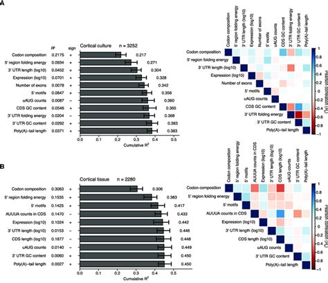 linear models quantifying correlates of translation in cultured neurons