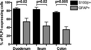 S β is expressed by the majority of PLP expressing cells while GFAP Download Scientific