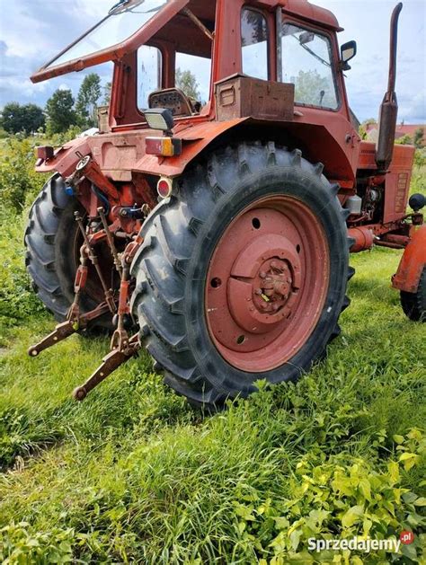 mtz 80 Piecewo - Sprzedajemy.pl