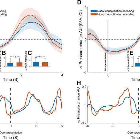 sniff parameters during odor encoding and recognition across sessions