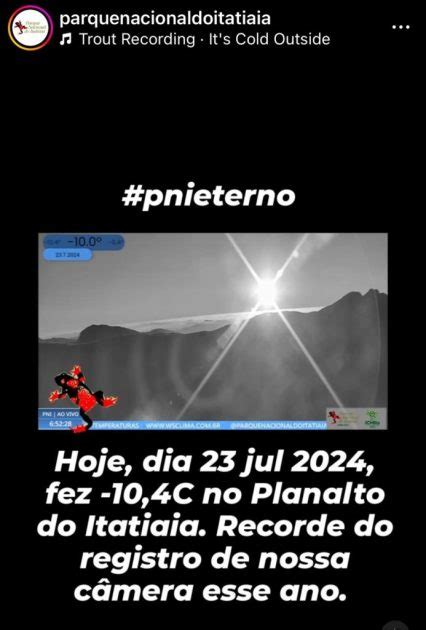 C Meras Registram C No Parque Nacional De Itatiaia A Voz Da Cidade