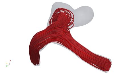 Streamlines At Different Instants Throughout One Cardiac Cycle