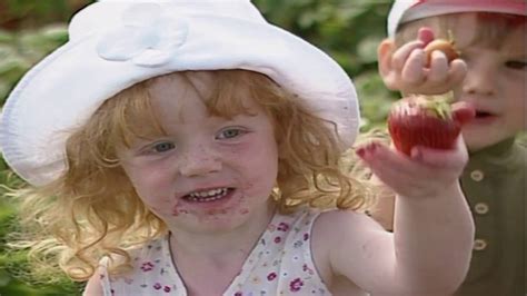 Teletubbies Strawberry Picking Youtube
