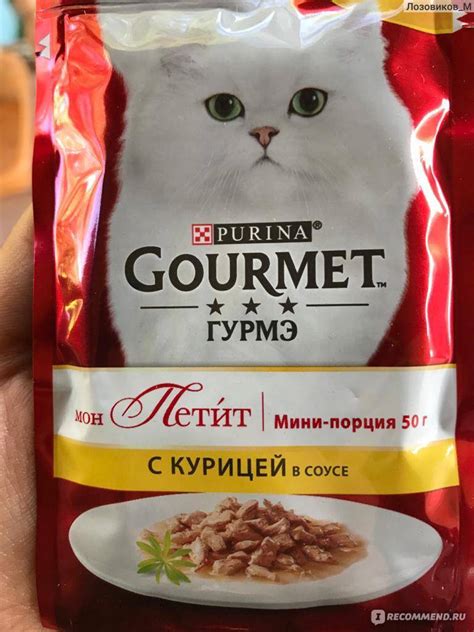 Из чего состоят корма Гурмэ для котов: как правильно давать Gourmet кошкам