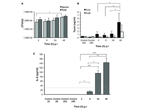 Production Of C Difficile Spores Toxins And Host Responses To Download Scientific Diagram