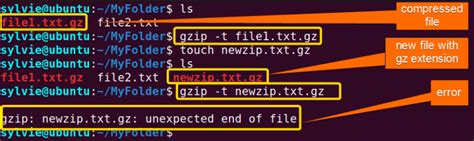 The “gzip” Command In Linux 9 Practical Examples The “gzip” Command In Linux 9 Practical Examples