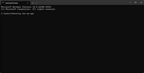 Setting Up Your Angular Development Environment