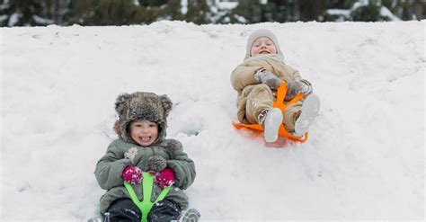 가문비 나무 가지 가족들 감기 겨울 겨울 기어 겨울 활동 계절 계절의 즐거움 나무 놀이 눈 눈 내리는 눈송이 눈이 내리는 눈이 내린 눈이 덮여