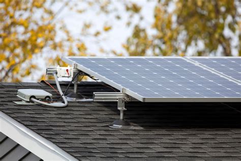 Protect Your Investment With Solar Panel Pest Control