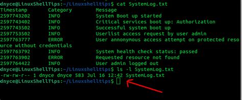 how to check a file s age and modification time in linux