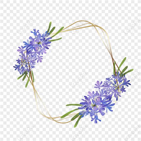 아프리카 백 자 련 수채 화훼 금 선 테두리 일러스트 꽃 일러스트잎 봄 손 수채화 축하 틀 Png 일러스트 무료 다운로드 Lovepik