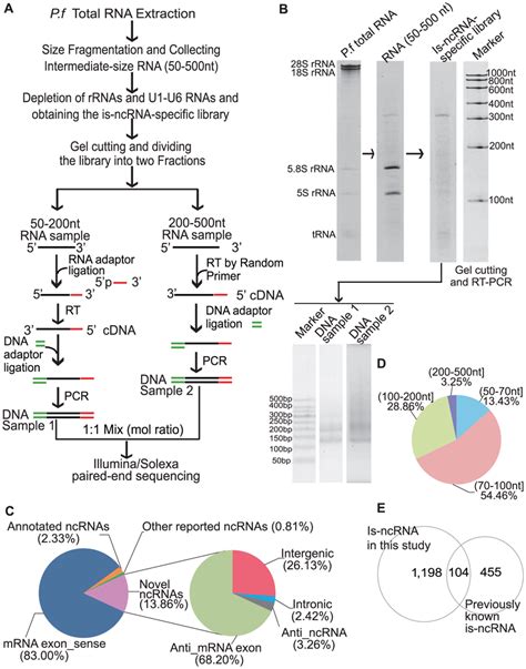 illumina solexa paired end sequencing and data analysis a the