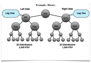 Binary MLM Compensation Plan Basics