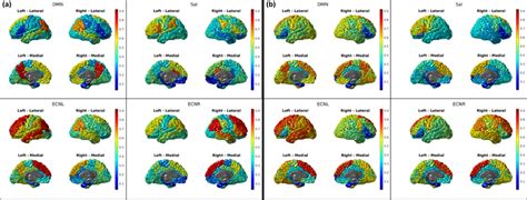 Default Mode Network Dmn Salience Network Sal External Control