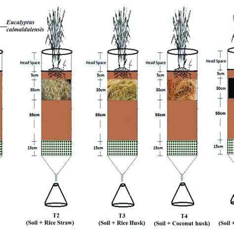 Experimental Setup Of Different Lysimeter Treatments Download Scientific Diagram