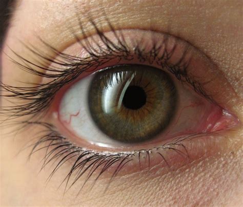 Pin on "EYES" | Beautiful eyes color, Eye photography, Eye close up