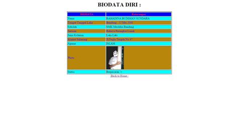 Membuat Biodata Di Html Cara Membuat Tabel Biodata Diri Keren Dengan Html