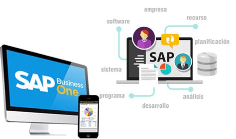 Implementación De Sistema Sap Bo Firma De Auditoría Contabilidad