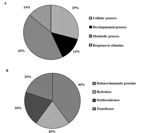 Functional Classification Of The 32 Deps After Meja Treatment Using