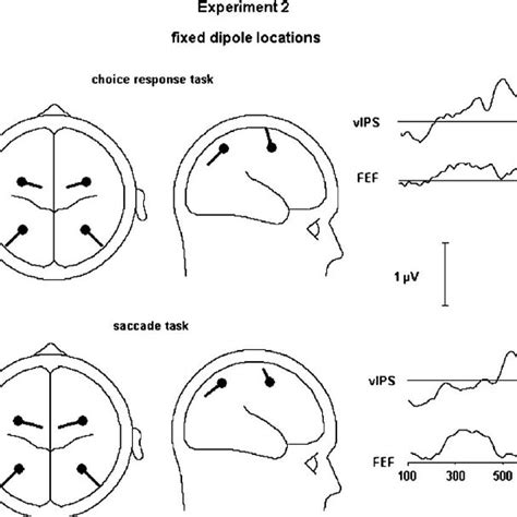 Saccade Locked Direction Related Lateralizations In The Delayed
